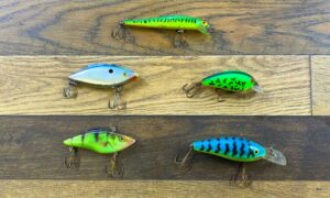 A Bass Angler’s Guide to Bait Color Selection